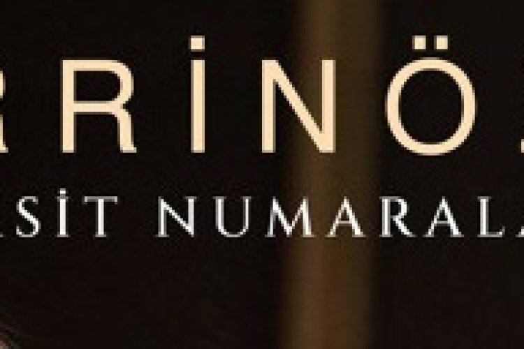 Zerrin Özer - Basit Numaralar şarkı sözleri - Güzel Anlamlı Özlü Ağir ...