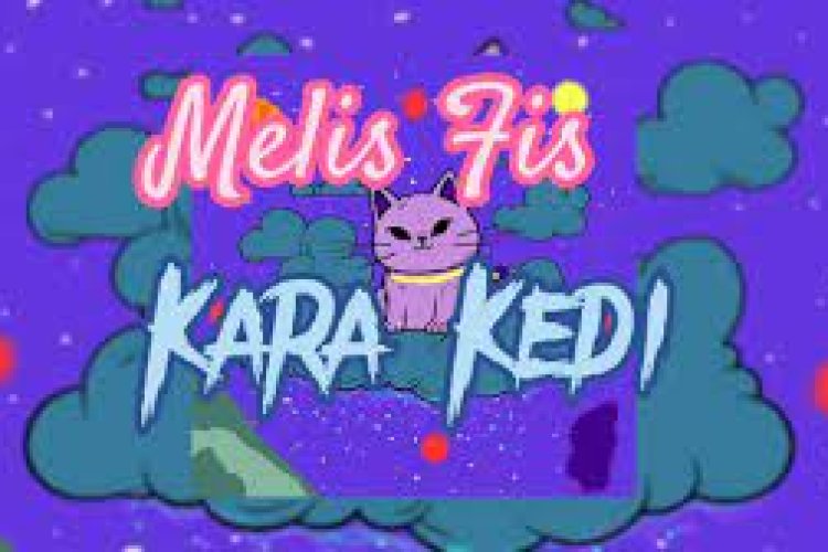 Melis Fis - Kara Kedi şarkı sözleri - Güzel Anlamlı Özlü Ağir Sözler ...